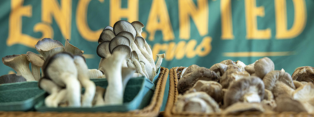 We're Officially Open for Business! – Enchanted Farms Mushrooms