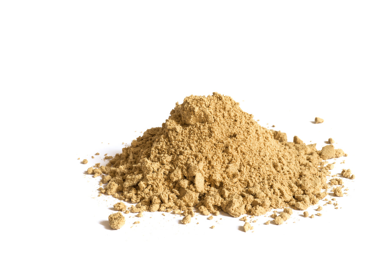 Lion's Mane Powder – Enchanted Farms Mushrooms